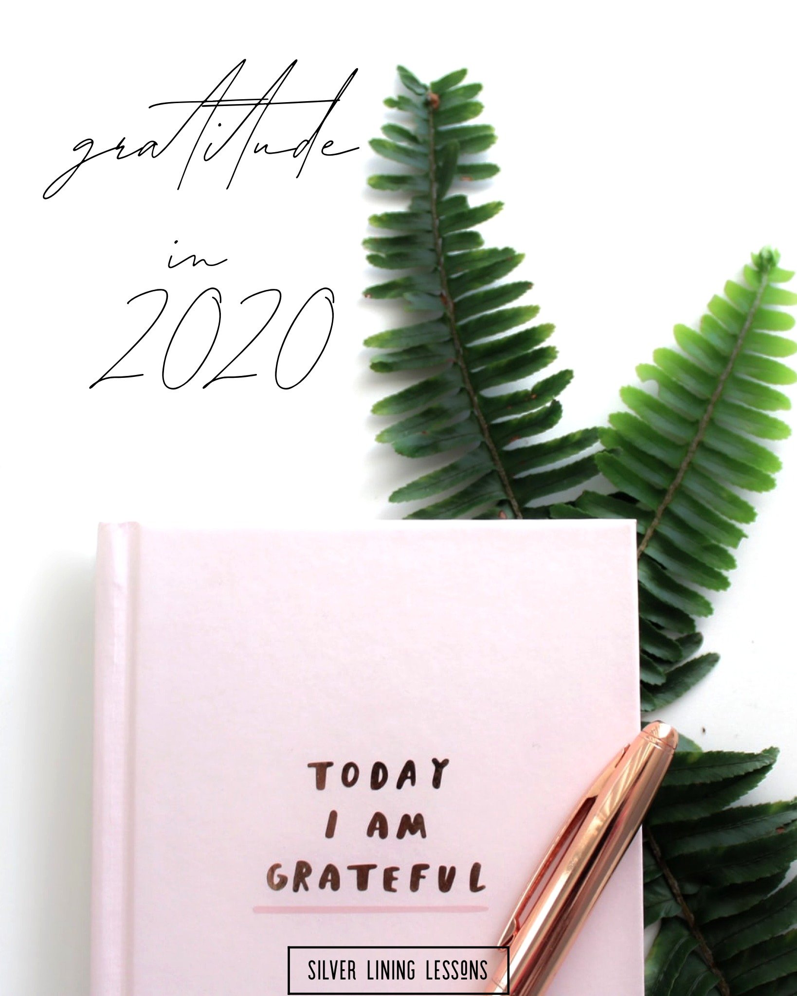 [gratitude in] 2020 – A Year in Review – Silver Lining Lessons