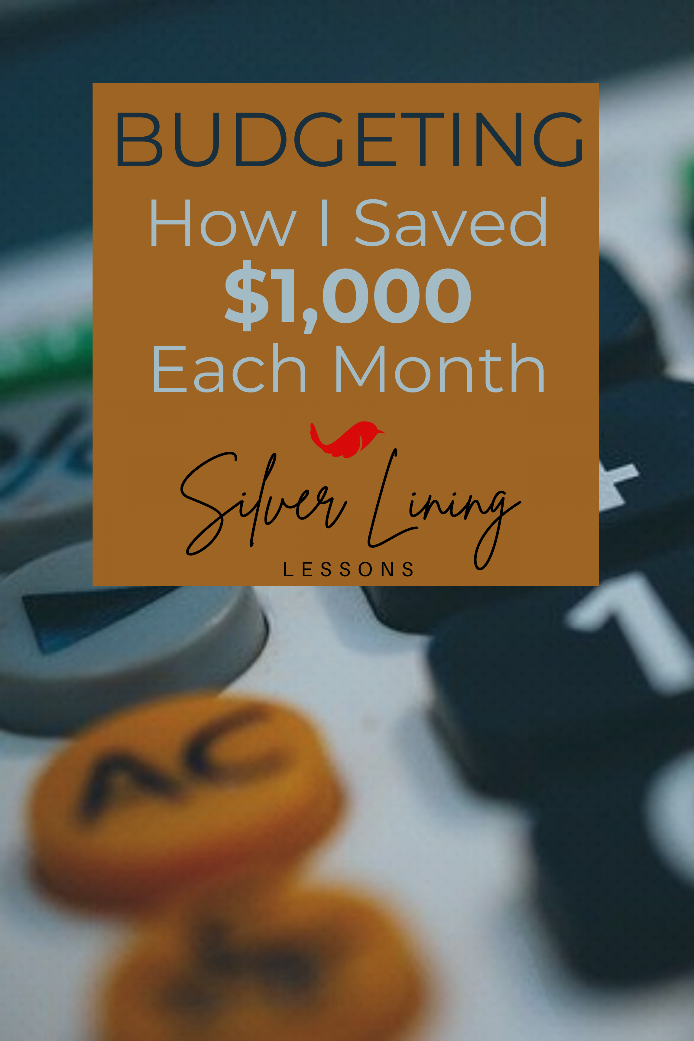 The Budget Meeting – $1,000 Monthly Savings – Silver Lining Lessons