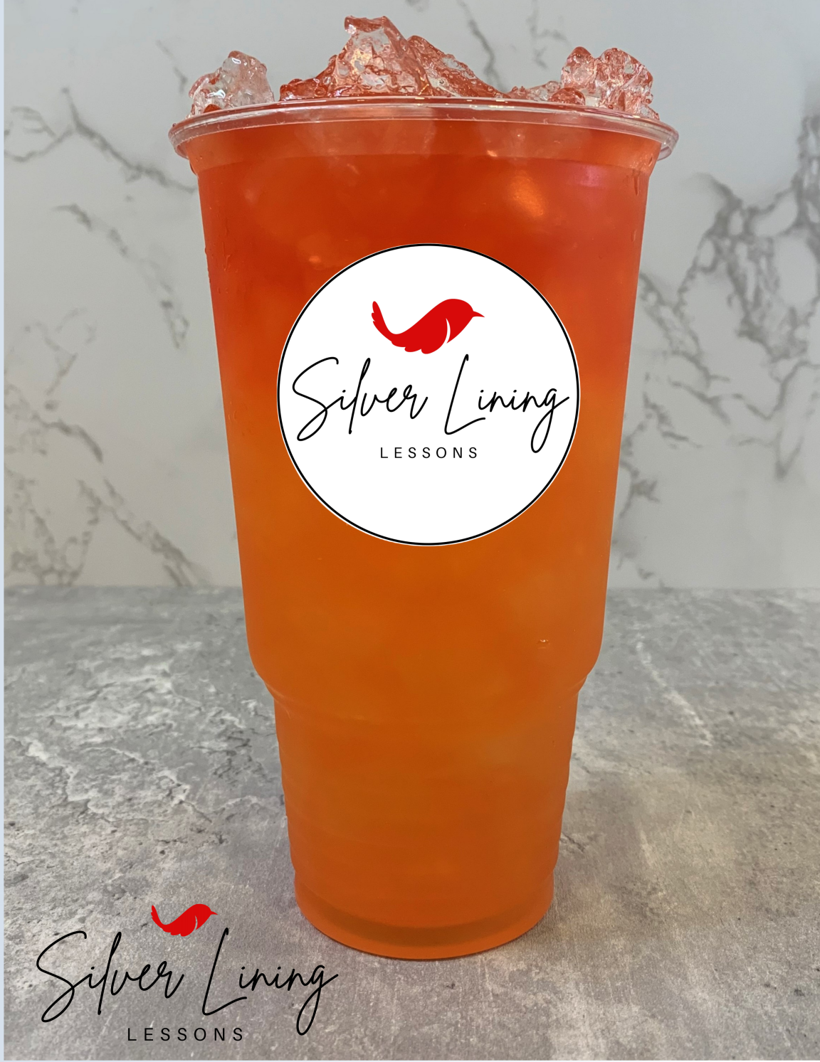 Baywatch – Silver Lining Lessons