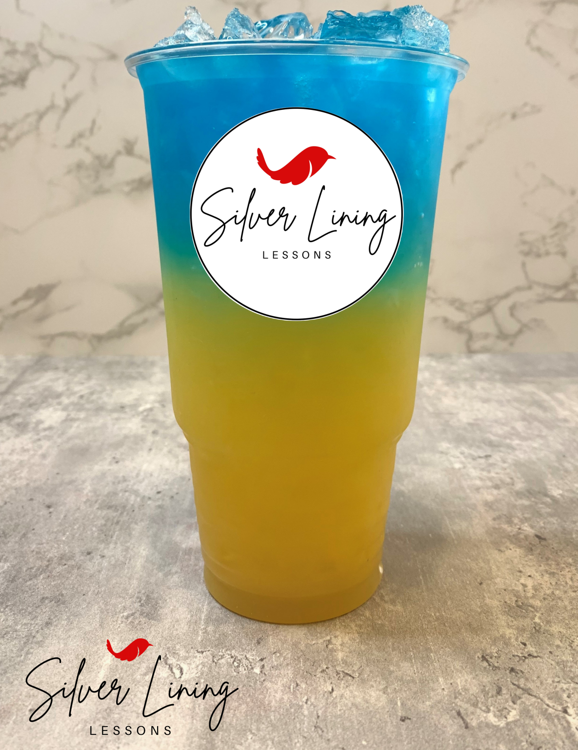 Mermaid – Silver Lining Lessons