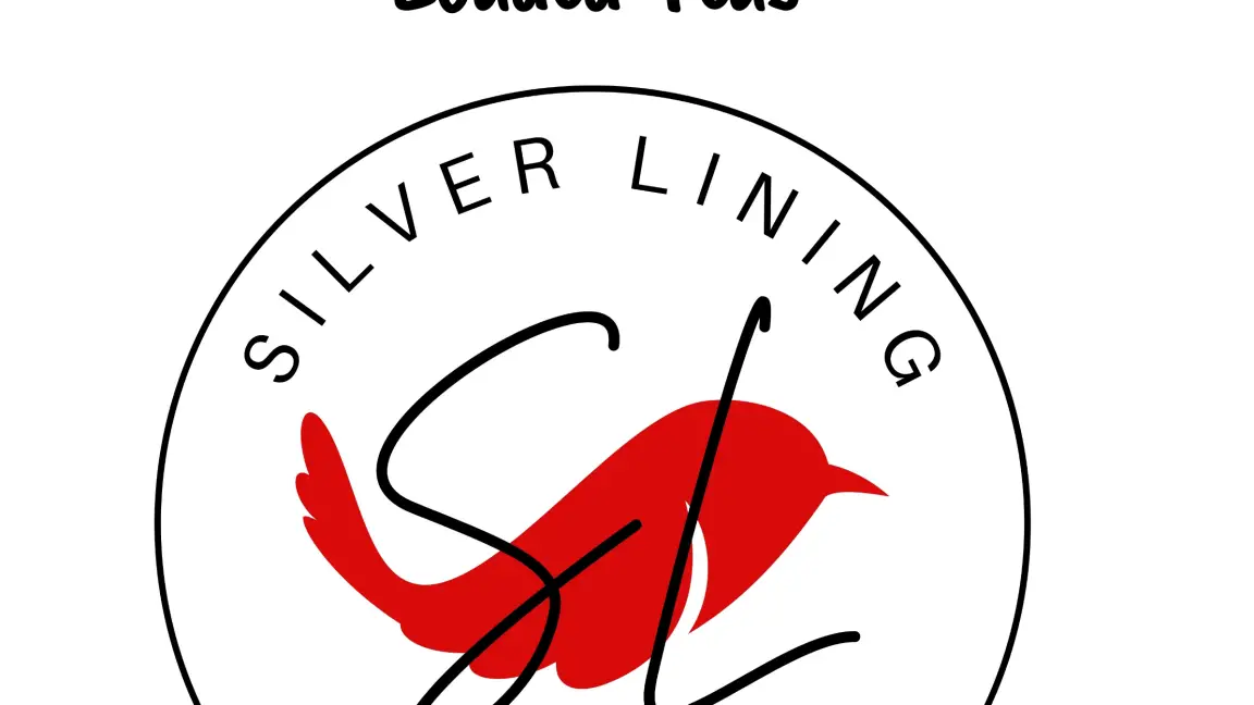 Starter Guides – Silver Lining Lessons