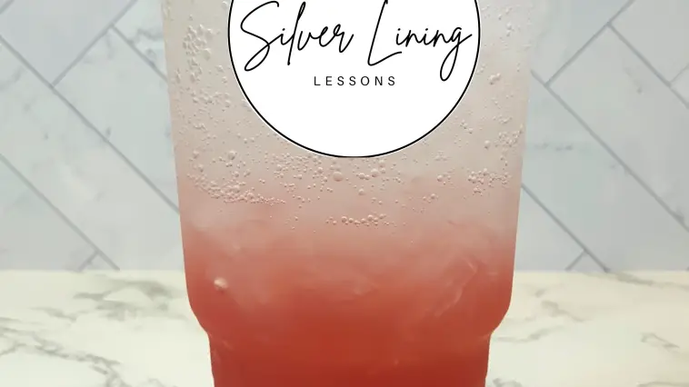 Strawberry Spritzer – Silver Lining Lessons