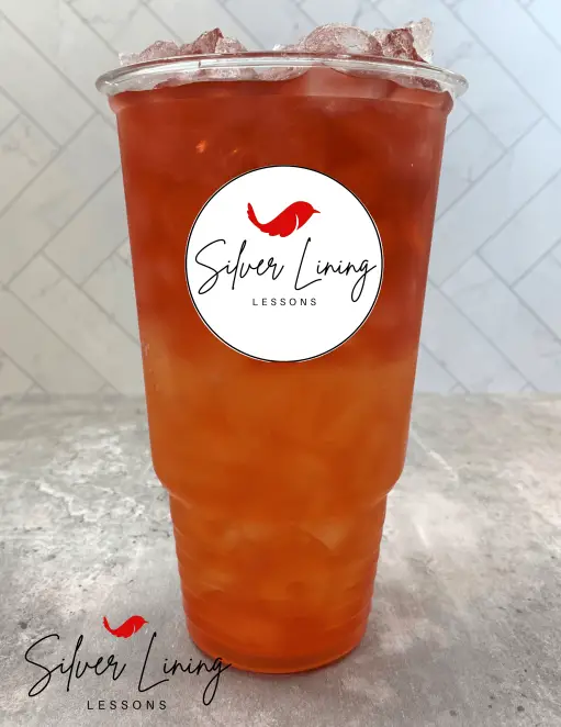 Fruit Roll Up – Silver Lining Lessons