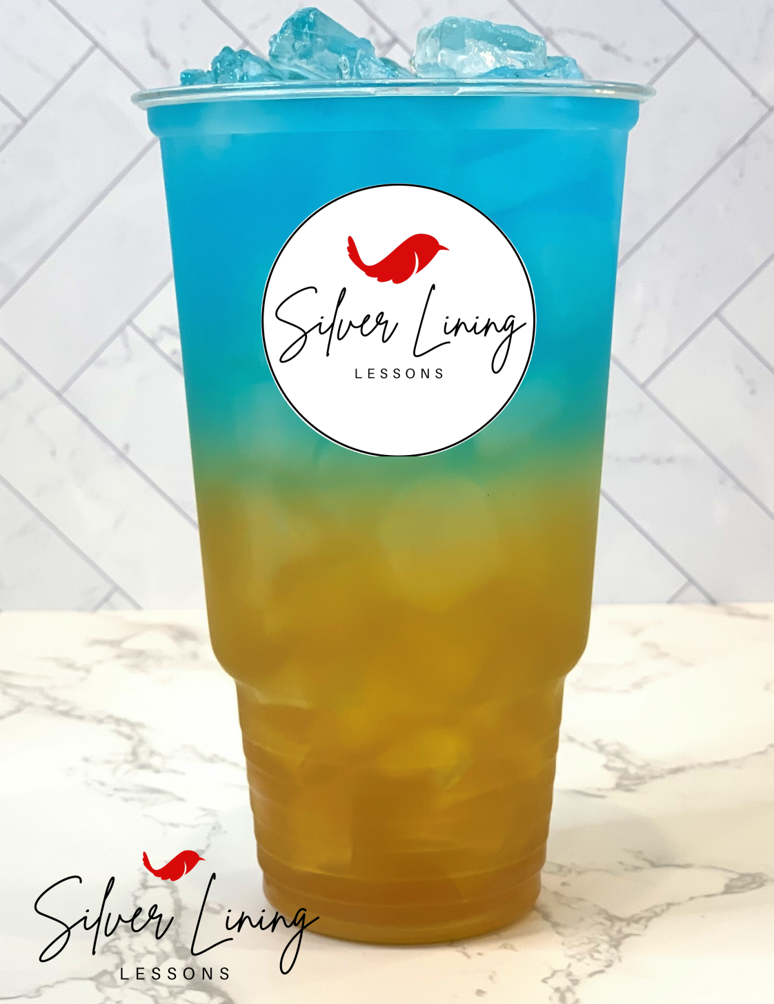 Mermaid Mule – Silver Lining Lessons
