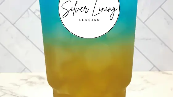 Swamp Water – Silver Lining Lessons