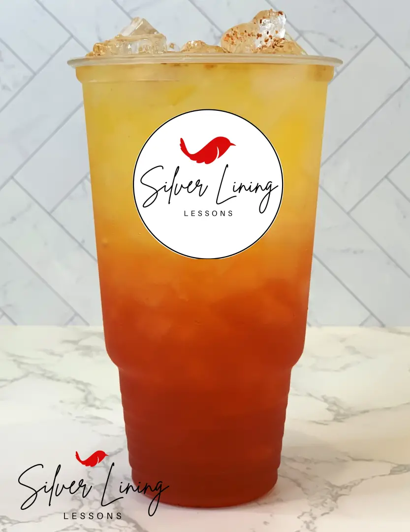 Picklemelon – Silver Lining Lessons