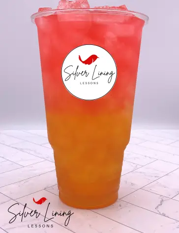 Dragon-berry Fusion – Silver Lining Lessons