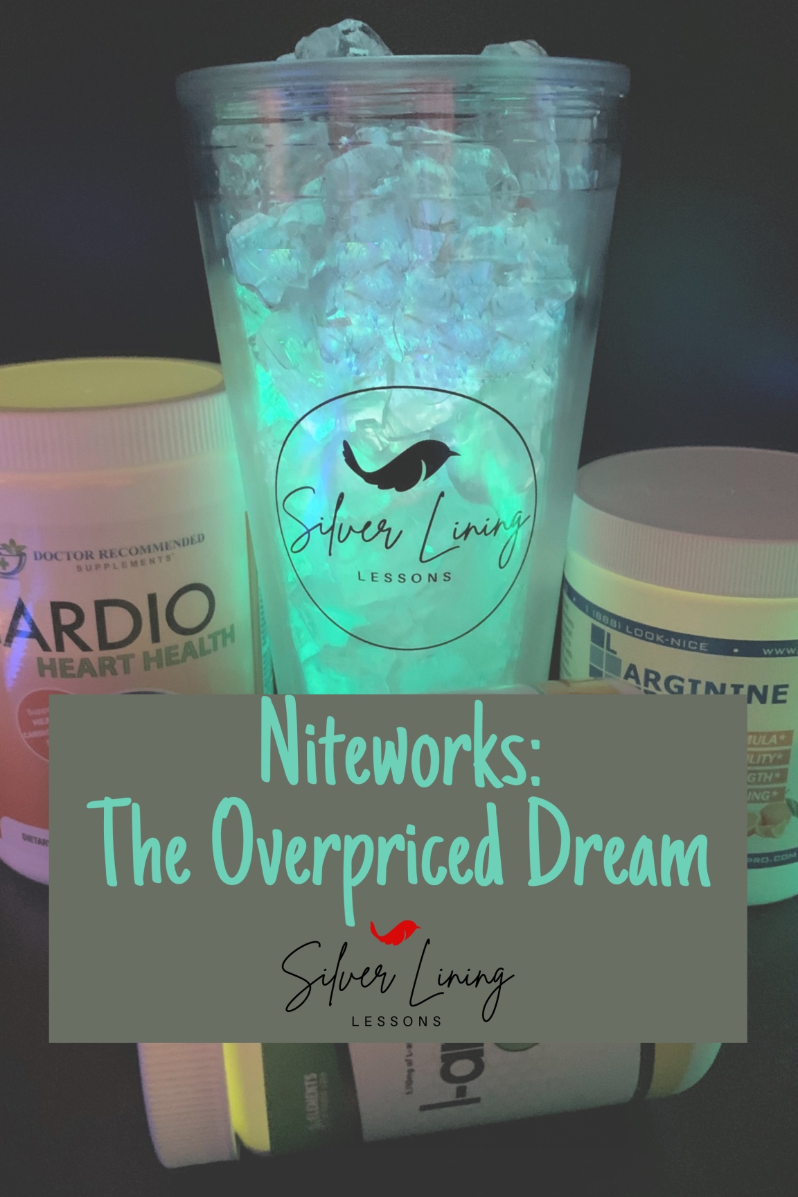 Niteworks: The Overpriced Dream – Silver Lining Lessons