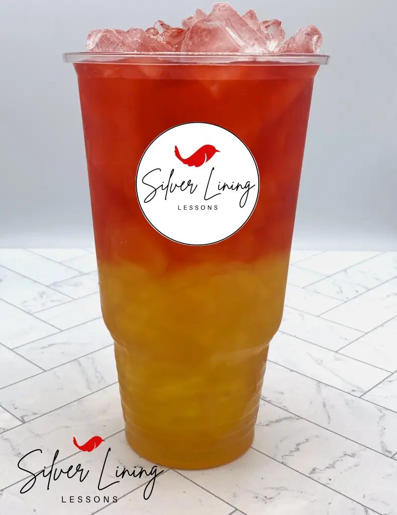 Silver Lining Lessons – Making The Most Cents Out of Life