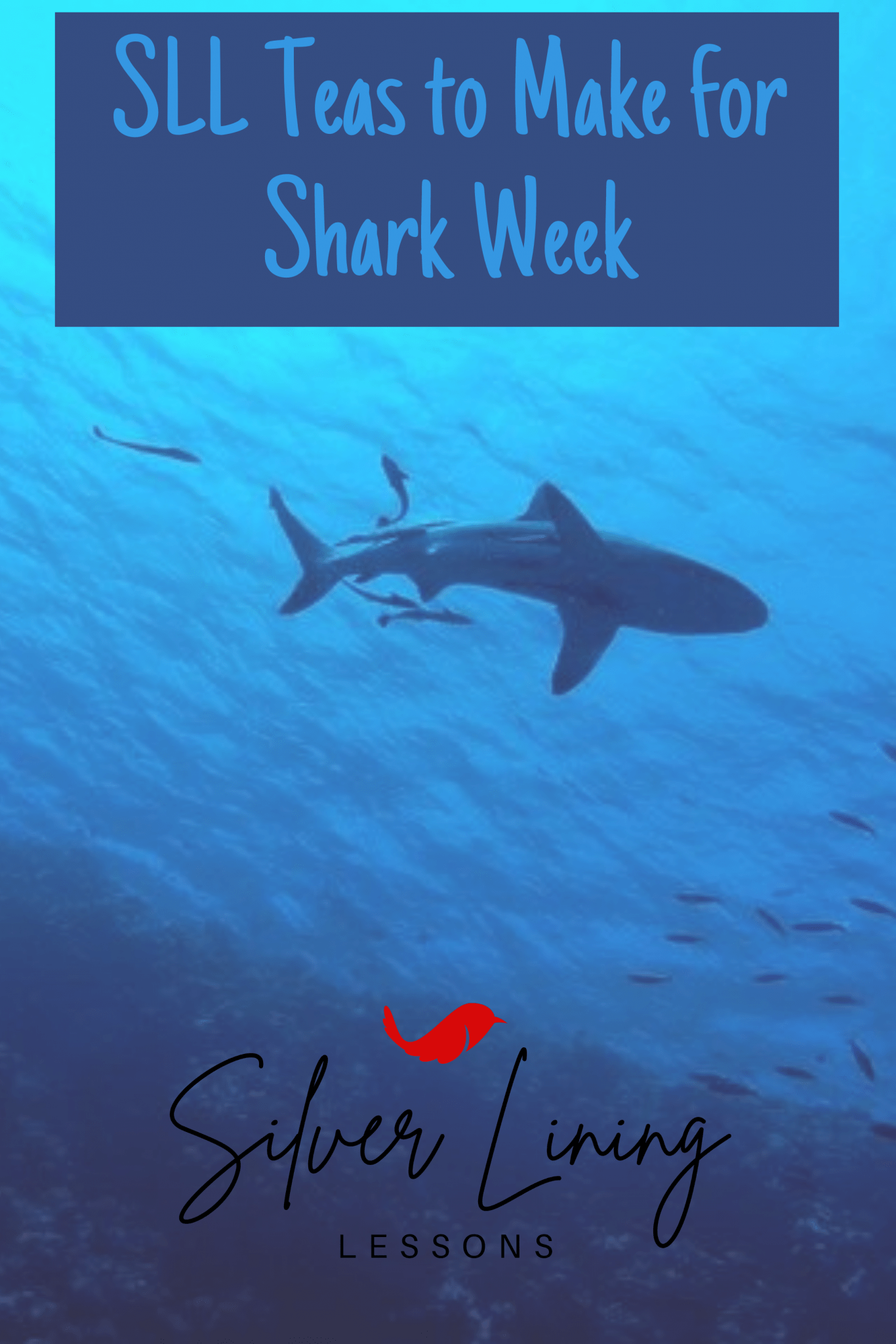 Silver Lining Lessons – Making The Most Cents Out of Life