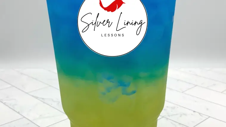 Watermelon Fresca – Silver Lining Lessons