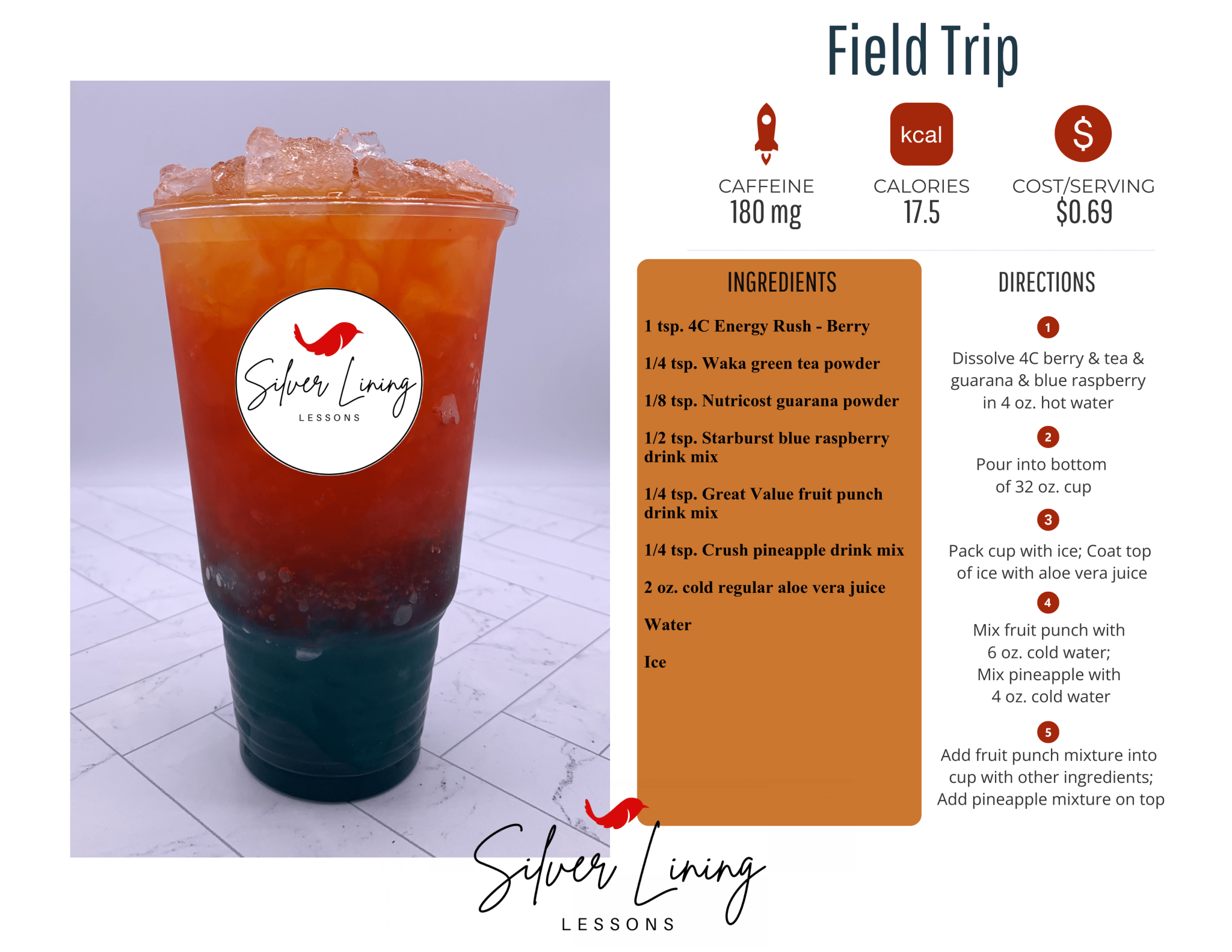 Field Trip – Silver Lining Lessons