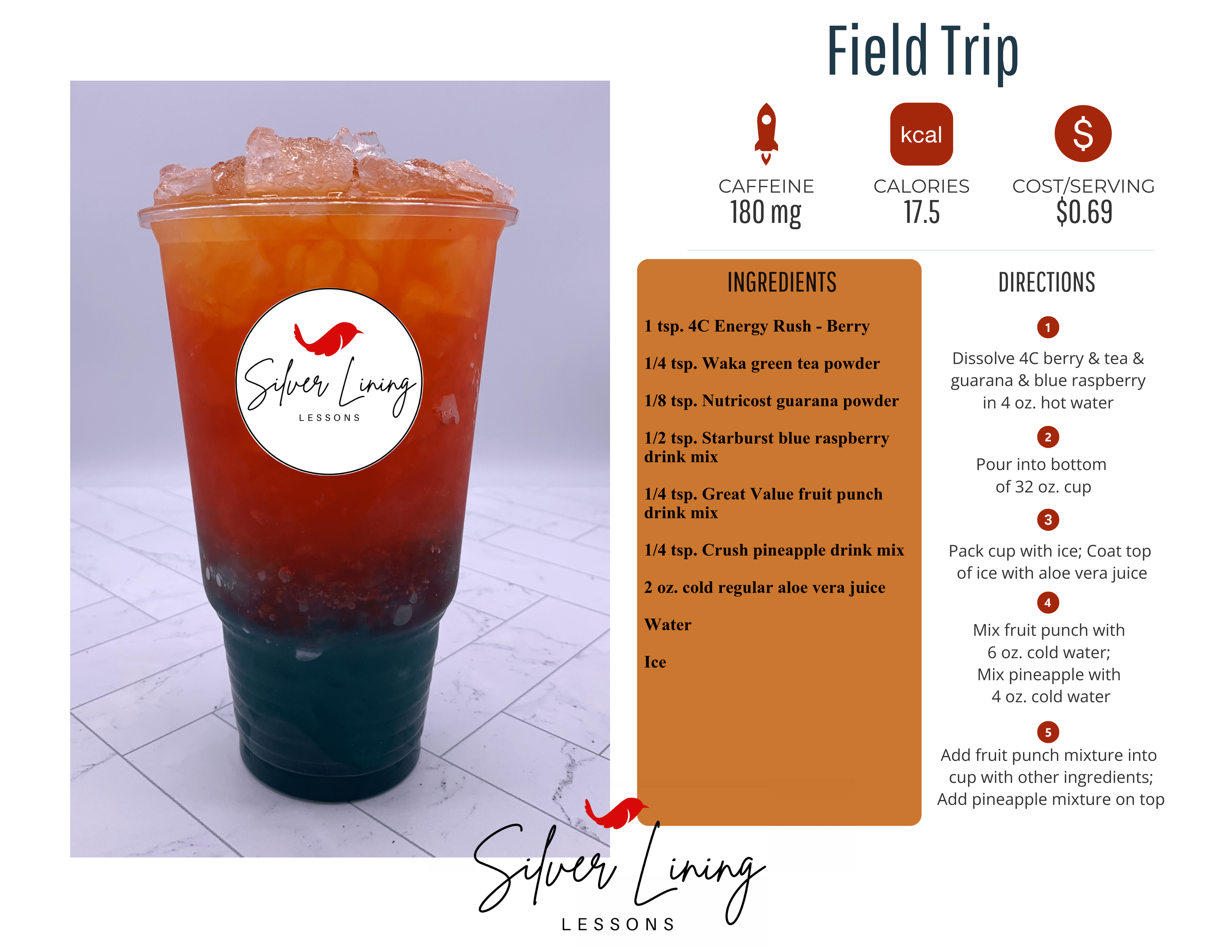 Field Trip – Silver Lining Lessons