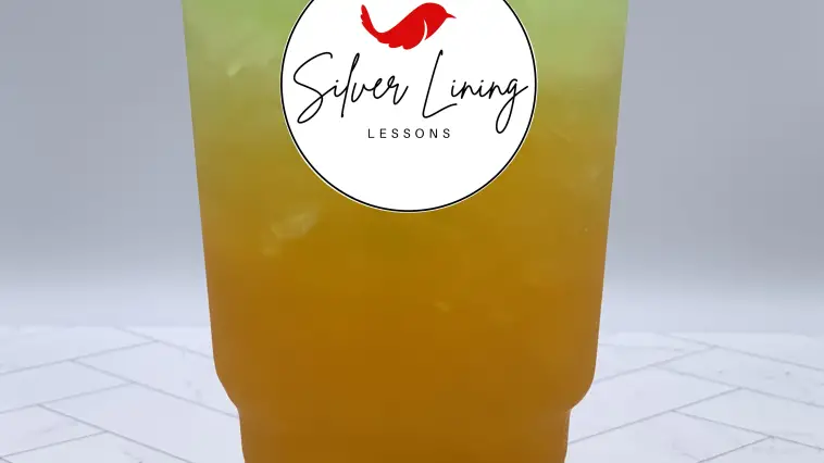 Soccer Mom – Silver Lining Lessons