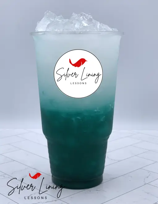 North Face – Silver Lining Lessons