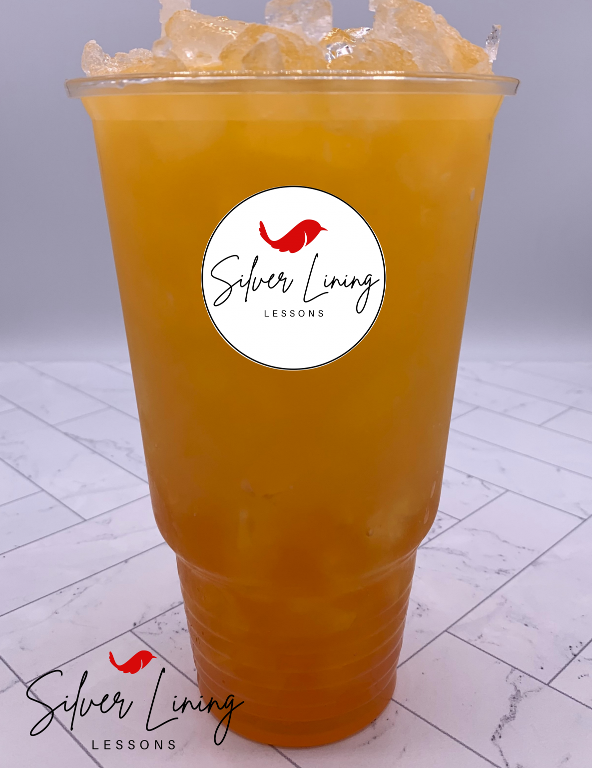 Recess – Silver Lining Lessons