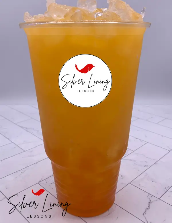 Recess – Silver Lining Lessons