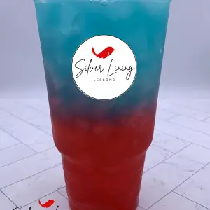 Field Trip – Silver Lining Lessons