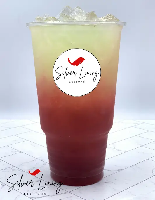 Watermelon Fresca – Silver Lining Lessons