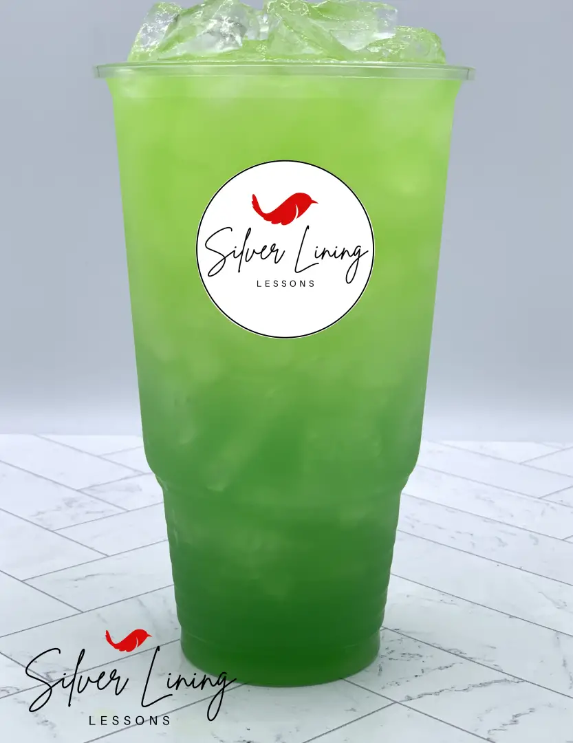 Screamsicle – Silver Lining Lessons