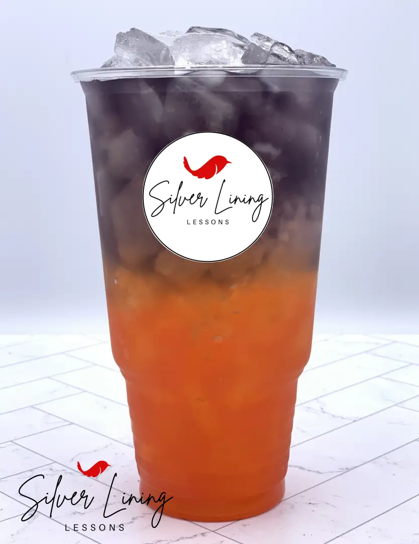 Spellbook – Silver Lining Lessons