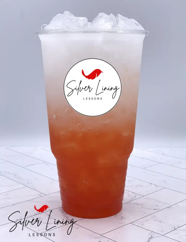 Snuggie – Silver Lining Lessons