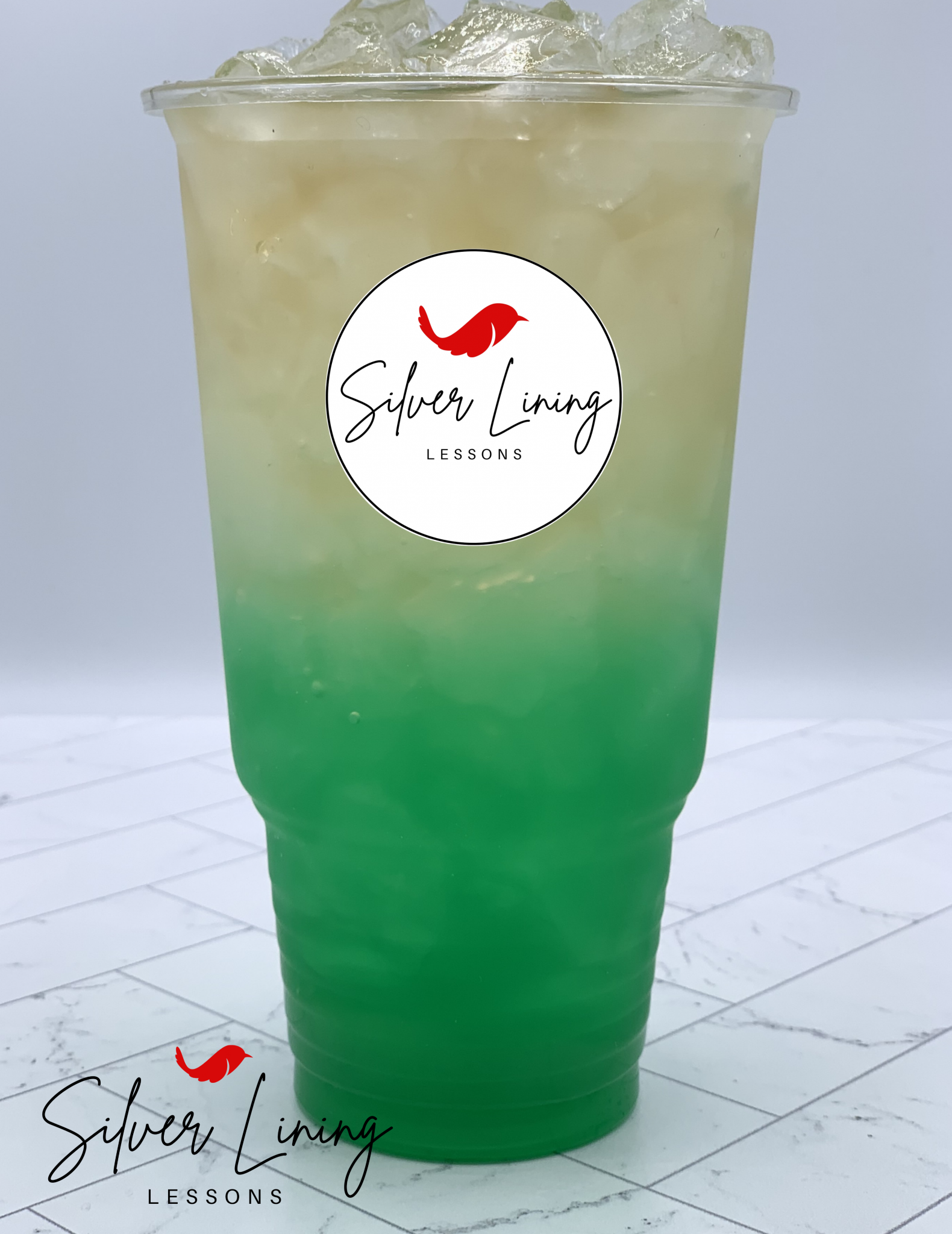 Duck Blind – Silver Lining Lessons