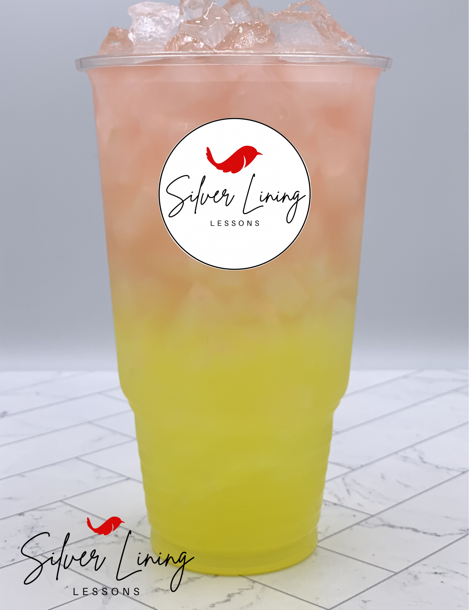 Hun Bot – Silver Lining Lessons