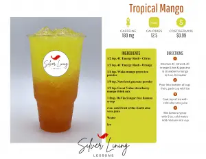 Tropical Mango – Silver Lining Lessons