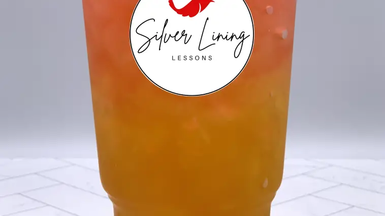 Screamsicle – Silver Lining Lessons