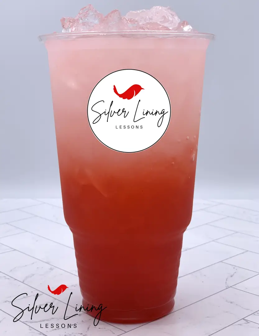 Love Punch – Silver Lining Lessons