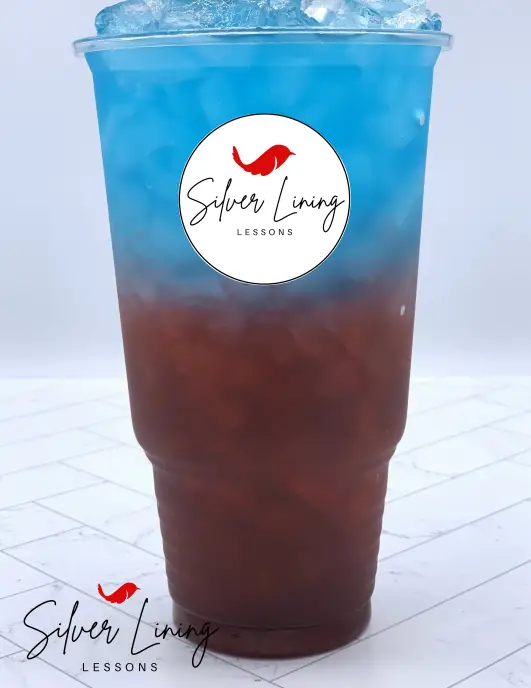 Subzero – Silver Lining Lessons