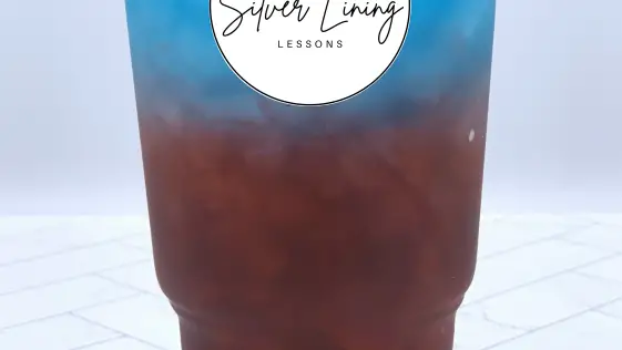 Black Beauty – Silver Lining Lessons