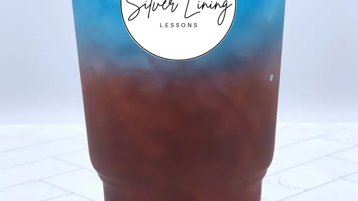 Black Beauty – Silver Lining Lessons