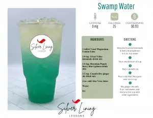Swamp Water – Silver Lining Lessons