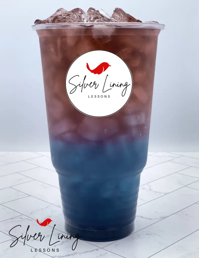 Black Beauty – Silver Lining Lessons