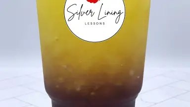 Watermelon Fresca – Silver Lining Lessons