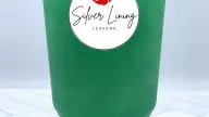 Blueberry Lemonade – Silver Lining Lessons
