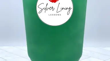 Blueberry Lemonade – Silver Lining Lessons