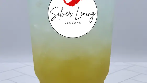 Lovefool – Silver Lining Lessons