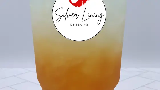 Studio 54 – Silver Lining Lessons