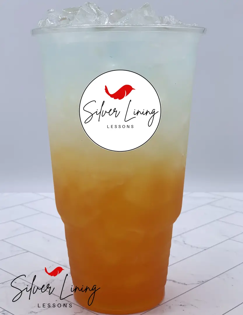 Mermaid Tail – Silver Lining Lessons