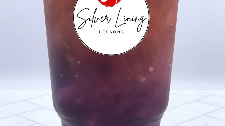 Black Beauty – Silver Lining Lessons