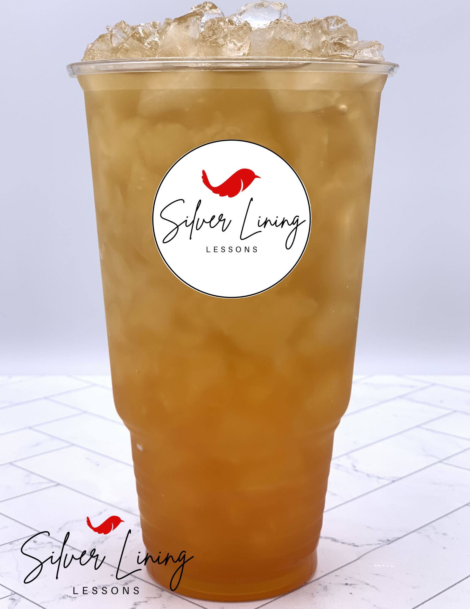 Studio 54 – Silver Lining Lessons