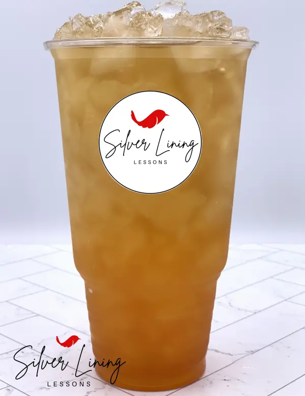 Studio 54 – Silver Lining Lessons