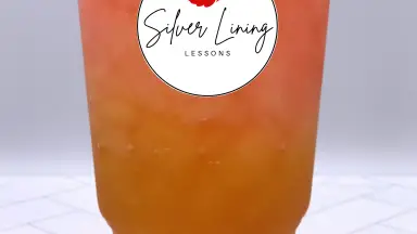 Studio 54 – Silver Lining Lessons