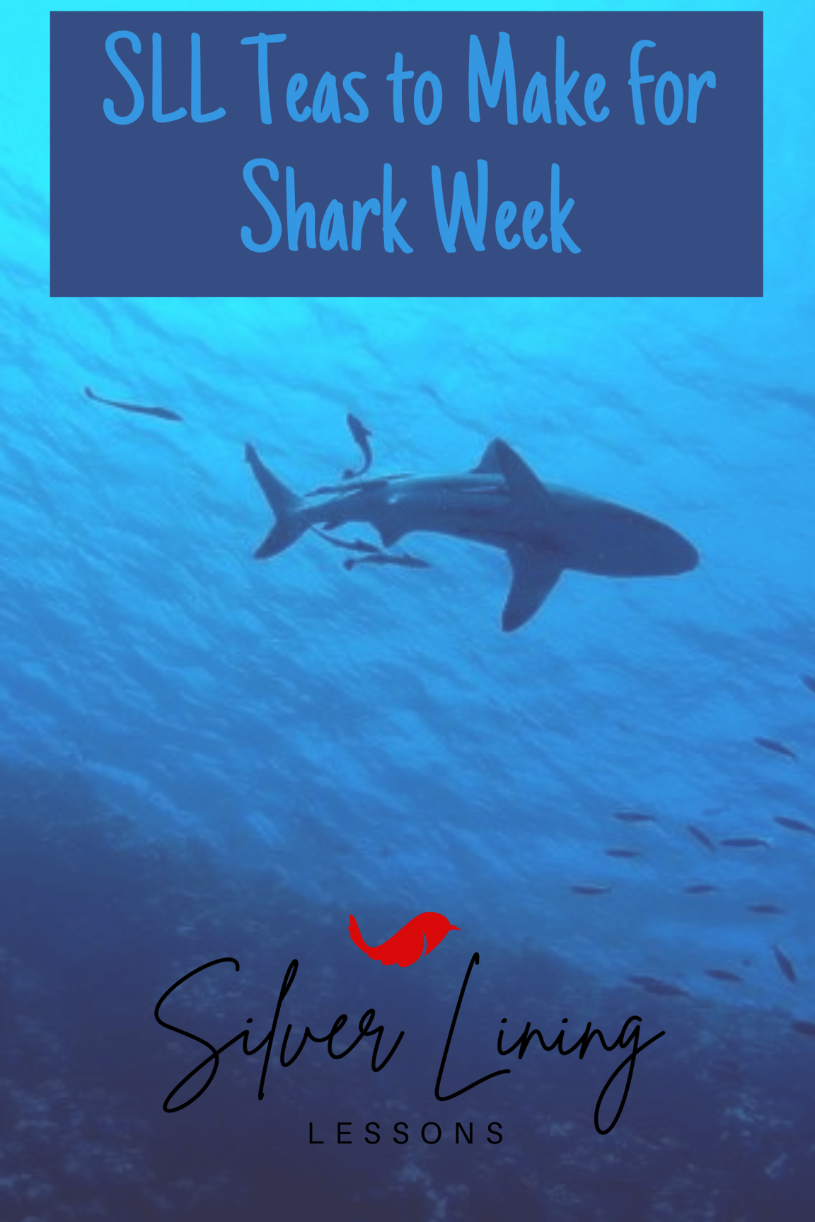 Teas for Shark Week 2023 – Silver Lining Lessons