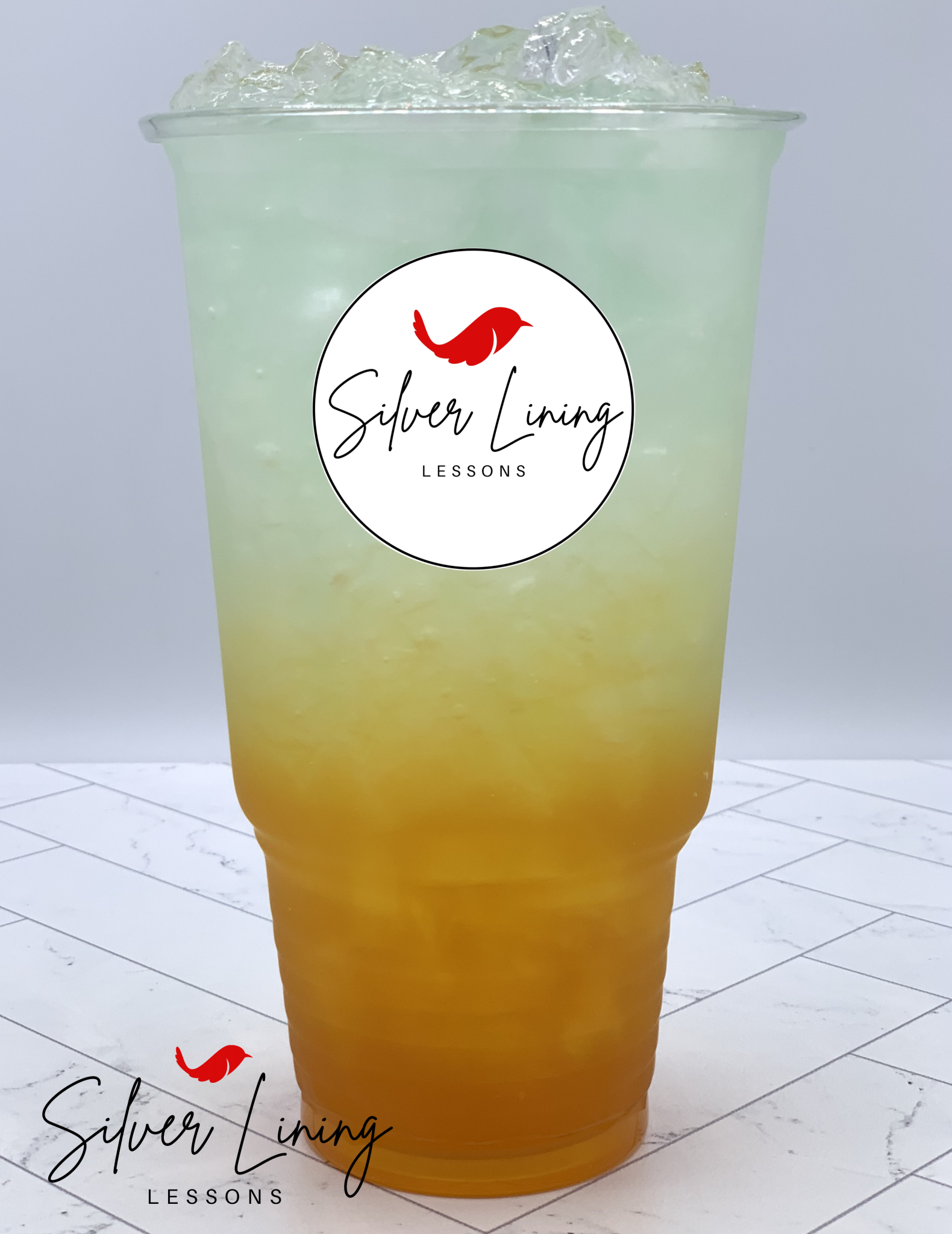 Tropical Rainforest – Silver Lining Lessons