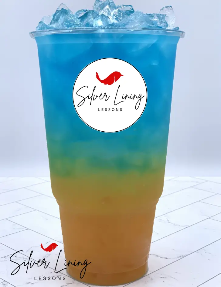 Open House – Silver Lining Lessons