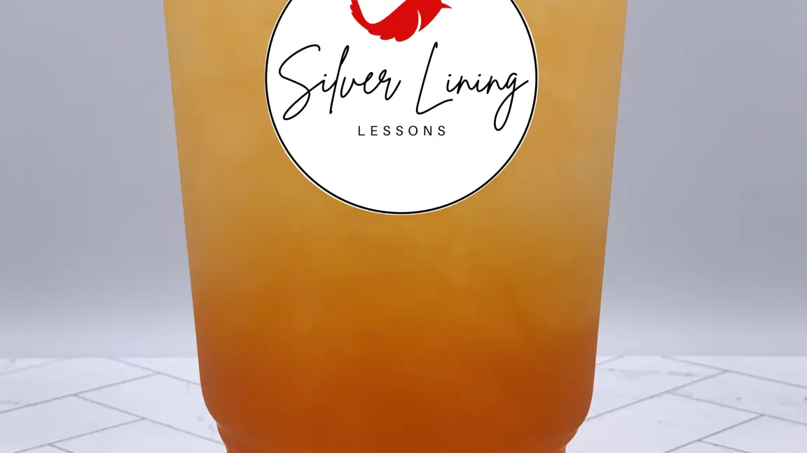 Trophy Wife – Silver Lining Lessons